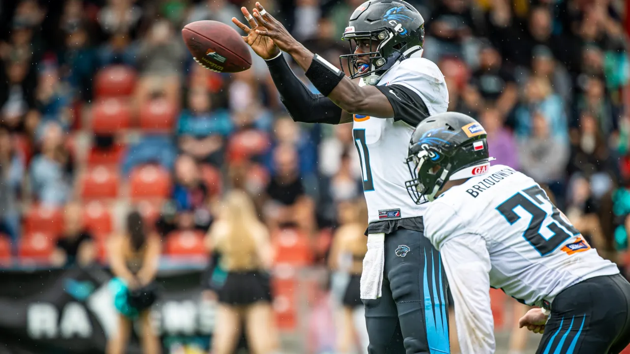 Wrocławscy liderzy w European League of Football | Panthers Wrocław